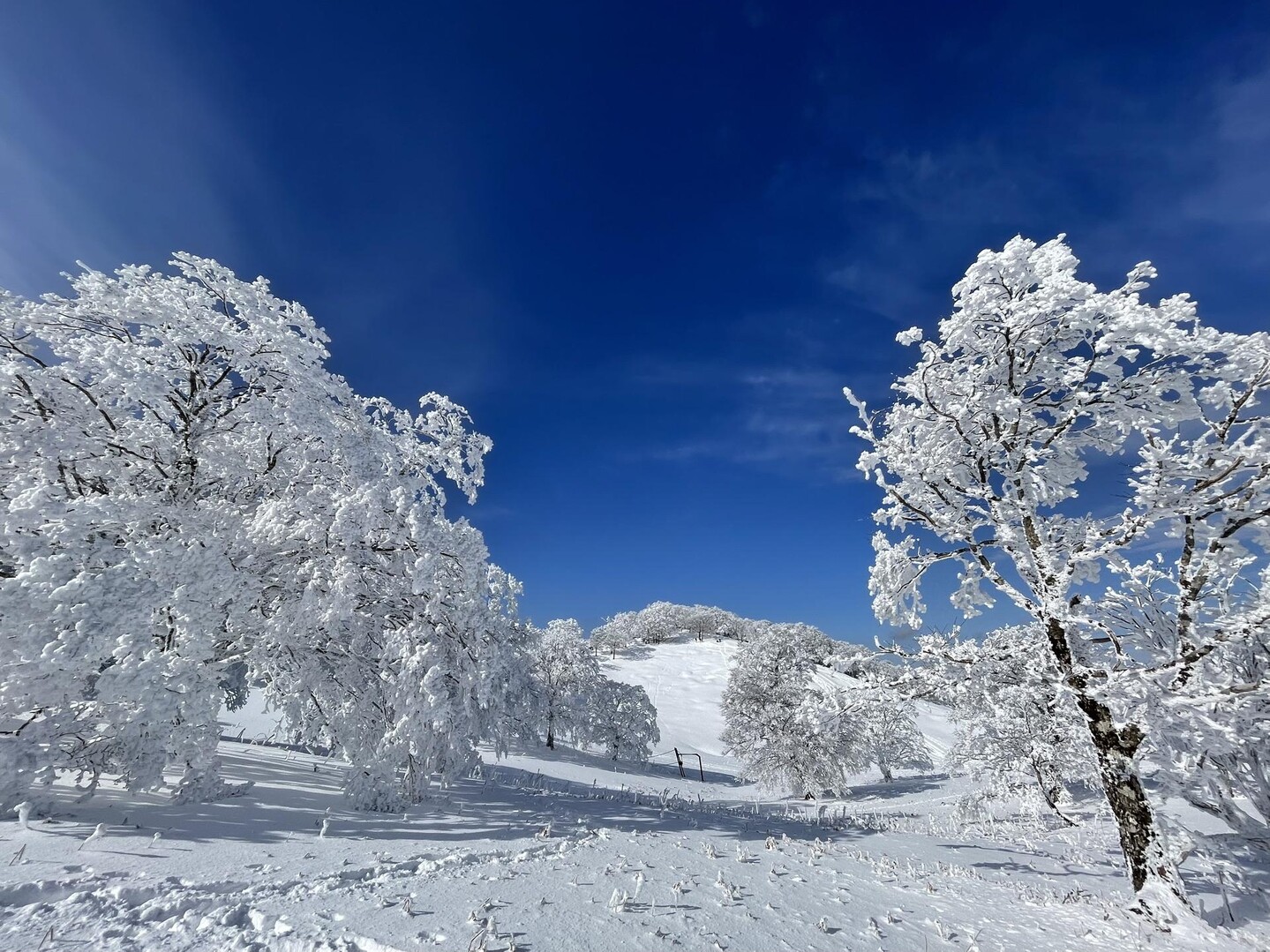 積年の想い 雪の明神岳 / mojaさんの桧塚奥峰・明神岳・薊岳の活動日記 | YAMAP / ヤマップ