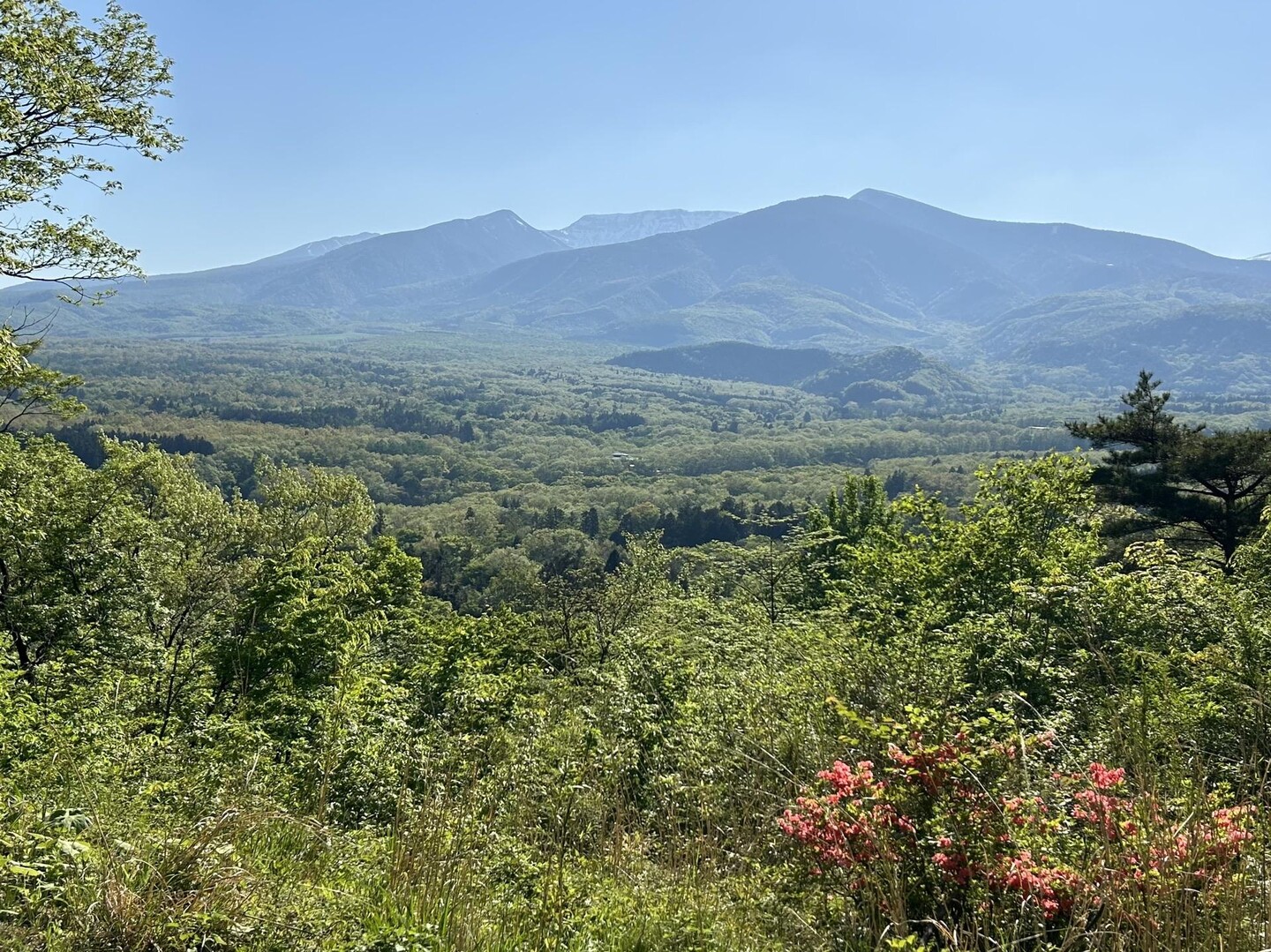 リリ山歩2024-05-02 / carolさんのウォーキングの活動データ | YAMAP / ヤマップ