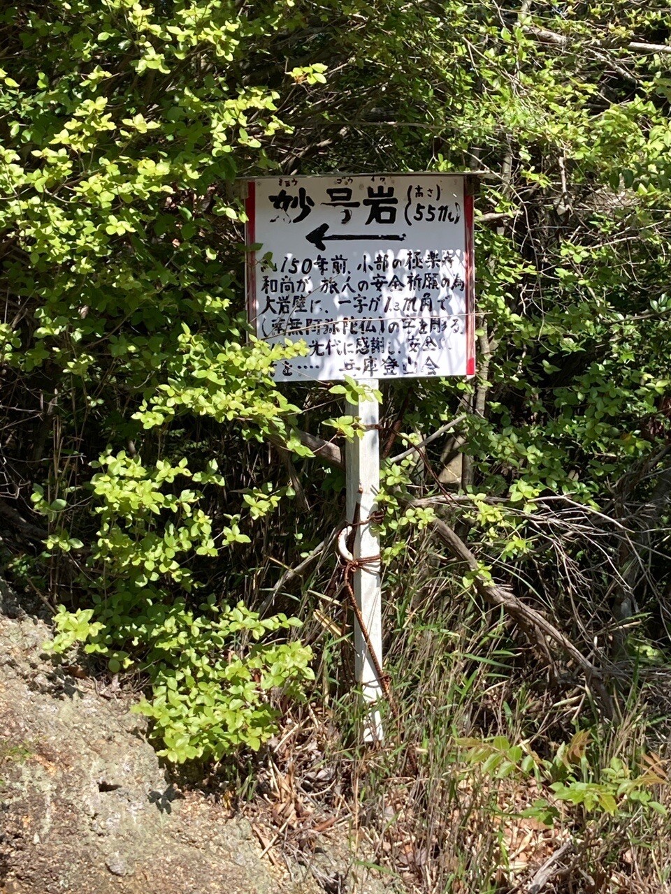 maaasanさんの投稿したフィールドメモ | YAMAP / ヤマップ