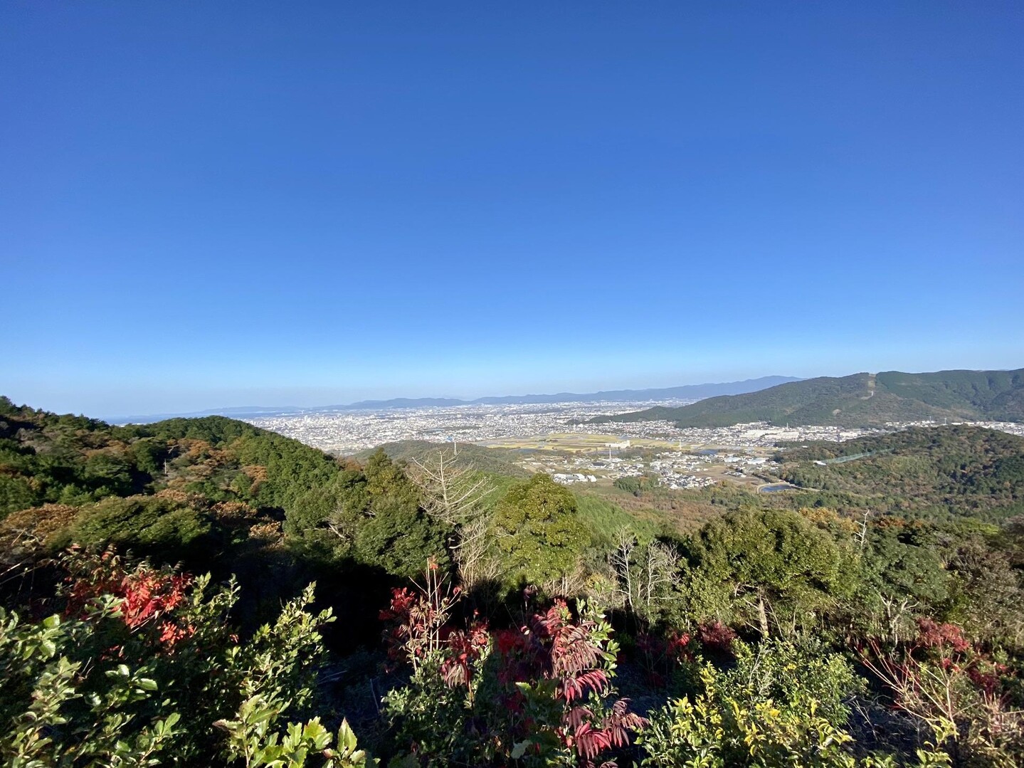 湖西連邦トレラン（二川〜神石山〜葦毛湿原） / Ima3さんの坊ヶ峰・石巻山・神石山・葦毛湿原の活動データ | YAMAP / ヤマップ