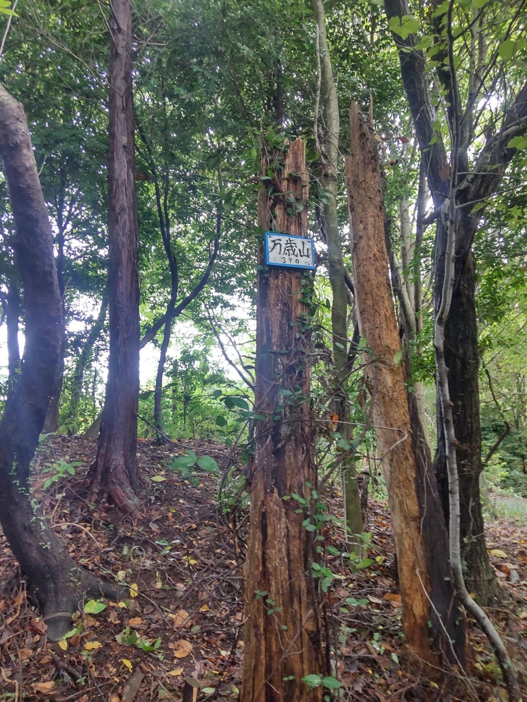 miyukyさんの投稿したフィールドメモ | YAMAP / ヤマップ