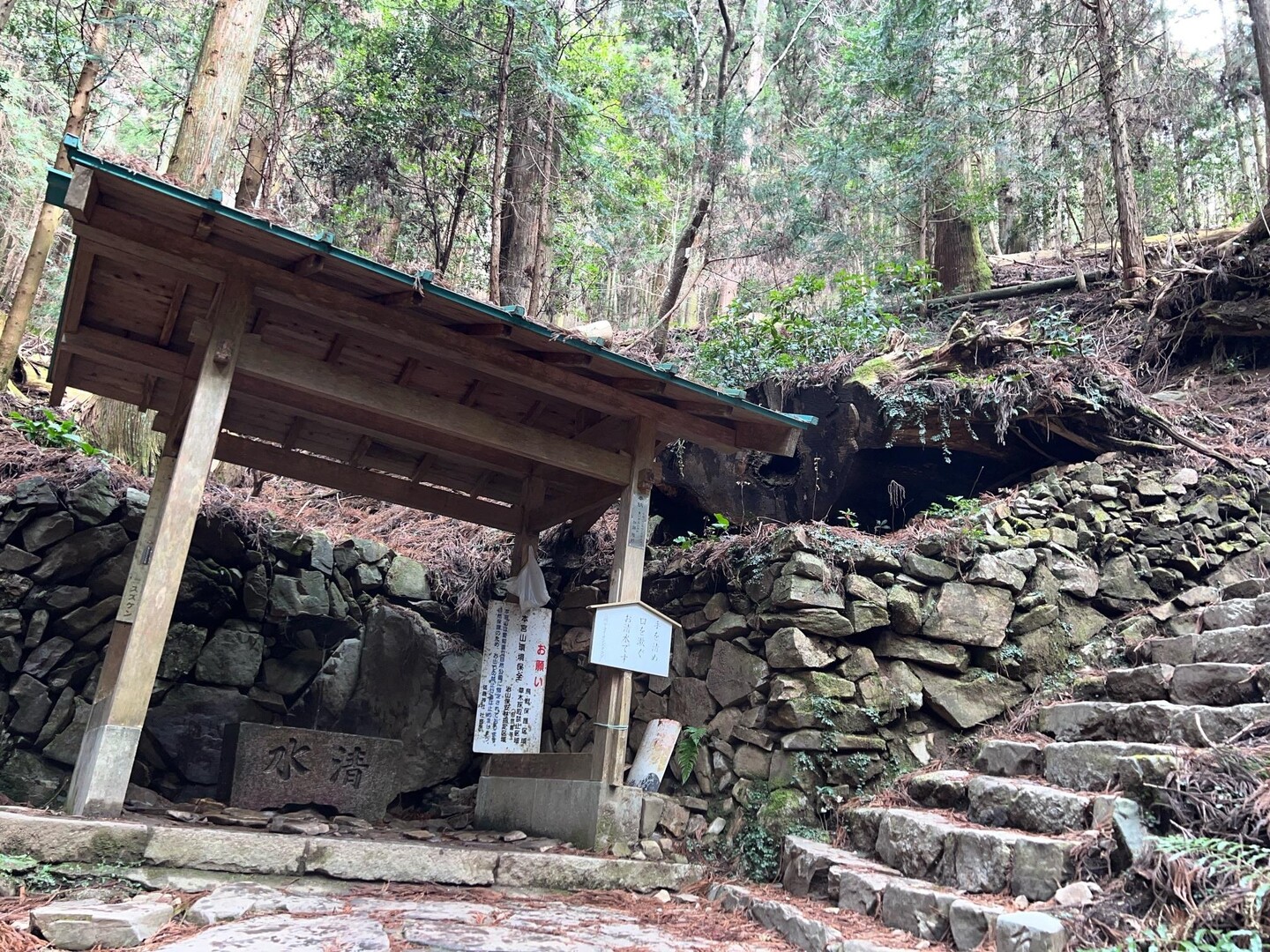 練習&ダイエット登山🔰 / ta_tsu 373さんの本宮山・大日山・風頭山の活動データ | YAMAP / ヤマップ