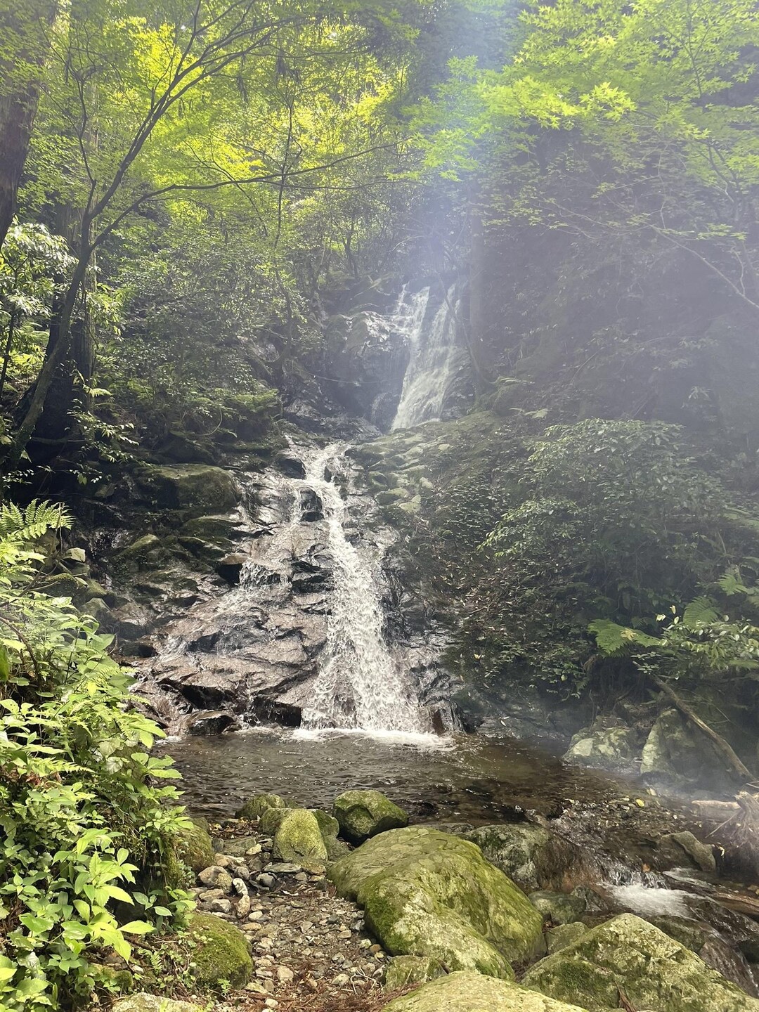 雷山 20kg / Takaさんの雷山・井原山の活動データ | YAMAP / ヤマップ