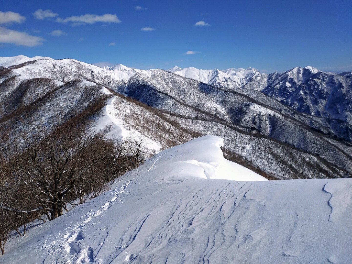 三国山縦走 ( 1597mポイントまで ) / mayuminさんの仙ノ倉山・平標山・大源太山の活動データ | YAMAP / ヤマップ