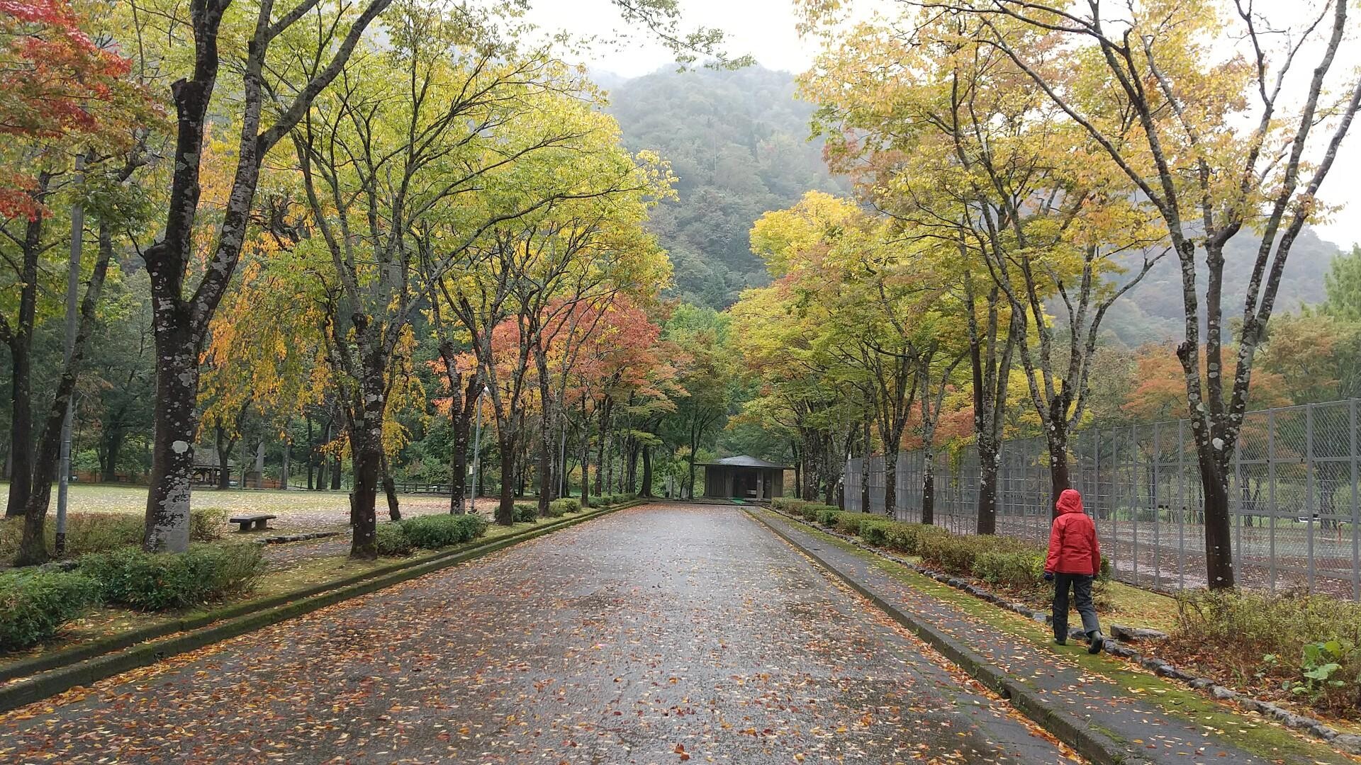中部縦貫自動車道 勝原IC～九頭竜IC H・Wウォーク / K&Hさんの荒島岳の活動データ | YAMAP / ヤマップ