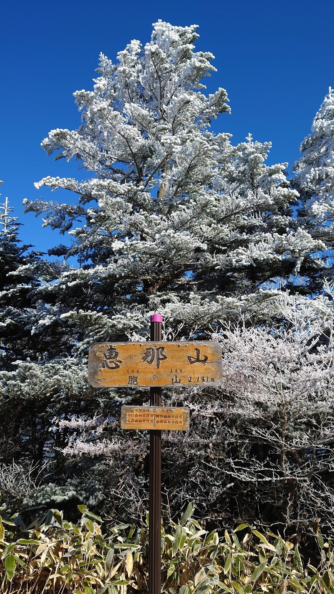 神坂峠登山口・千両山・大判山・恵那山ピストン / Sugi Sugiさんの恵那山・大判山・神坂山の活動データ | YAMAP / ヤマップ