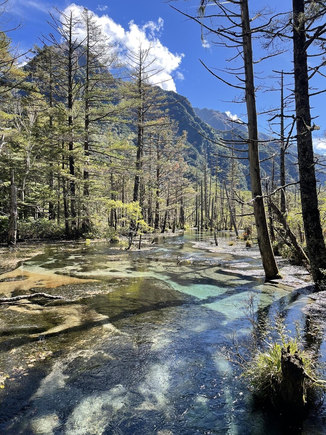 上高地 / minorunさんの槍ヶ岳・穂高岳・上高地の活動データ | YAMAP / ヤマップ