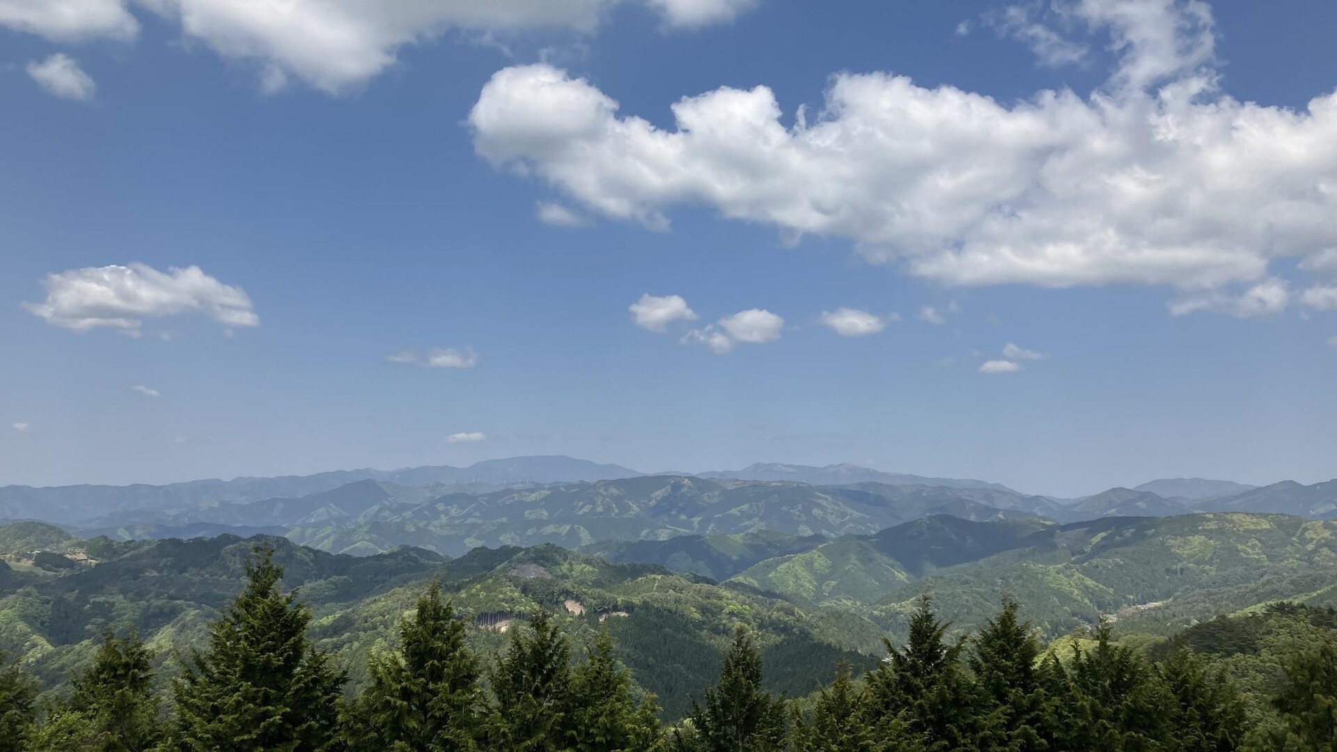 夏焼城ヶ山 / 6DMEさんの夏焼城ヶ山・月ヶ平の活動データ | YAMAP / ヤマップ