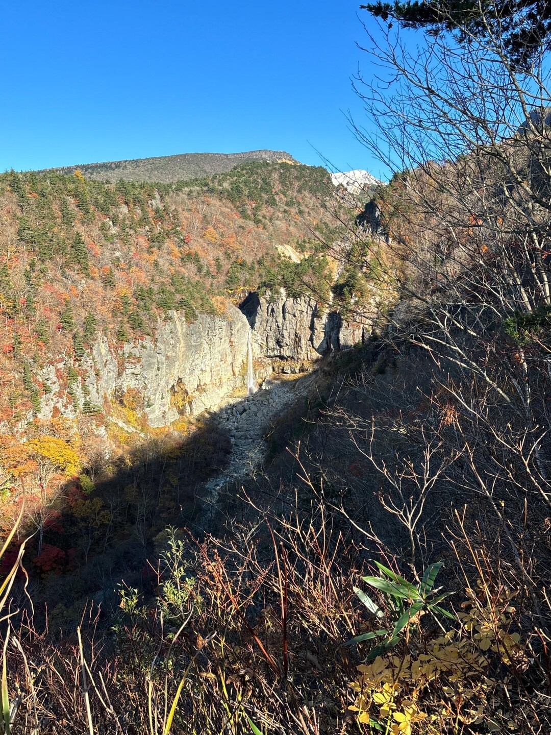 mskふぅさんの投稿したフィールドメモ | YAMAP / ヤマップ