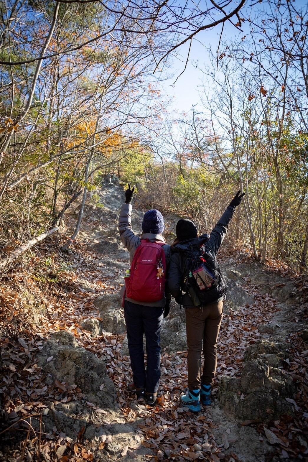 龍ノ口山 / yasu yasuさんの龍ノ口山の活動データ | YAMAP / ヤマップ