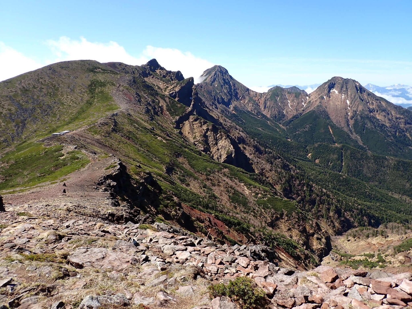 花咲くチーバくんルートへ⛰️🌸 / reoさんの八ヶ岳（赤岳・硫黄岳・天狗岳）の活動データ | YAMAP / ヤマップ