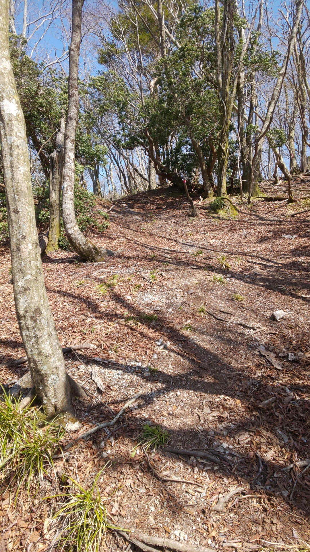 Sunちゃん0315さんの投稿したフィールドメモ | YAMAP / ヤマップ