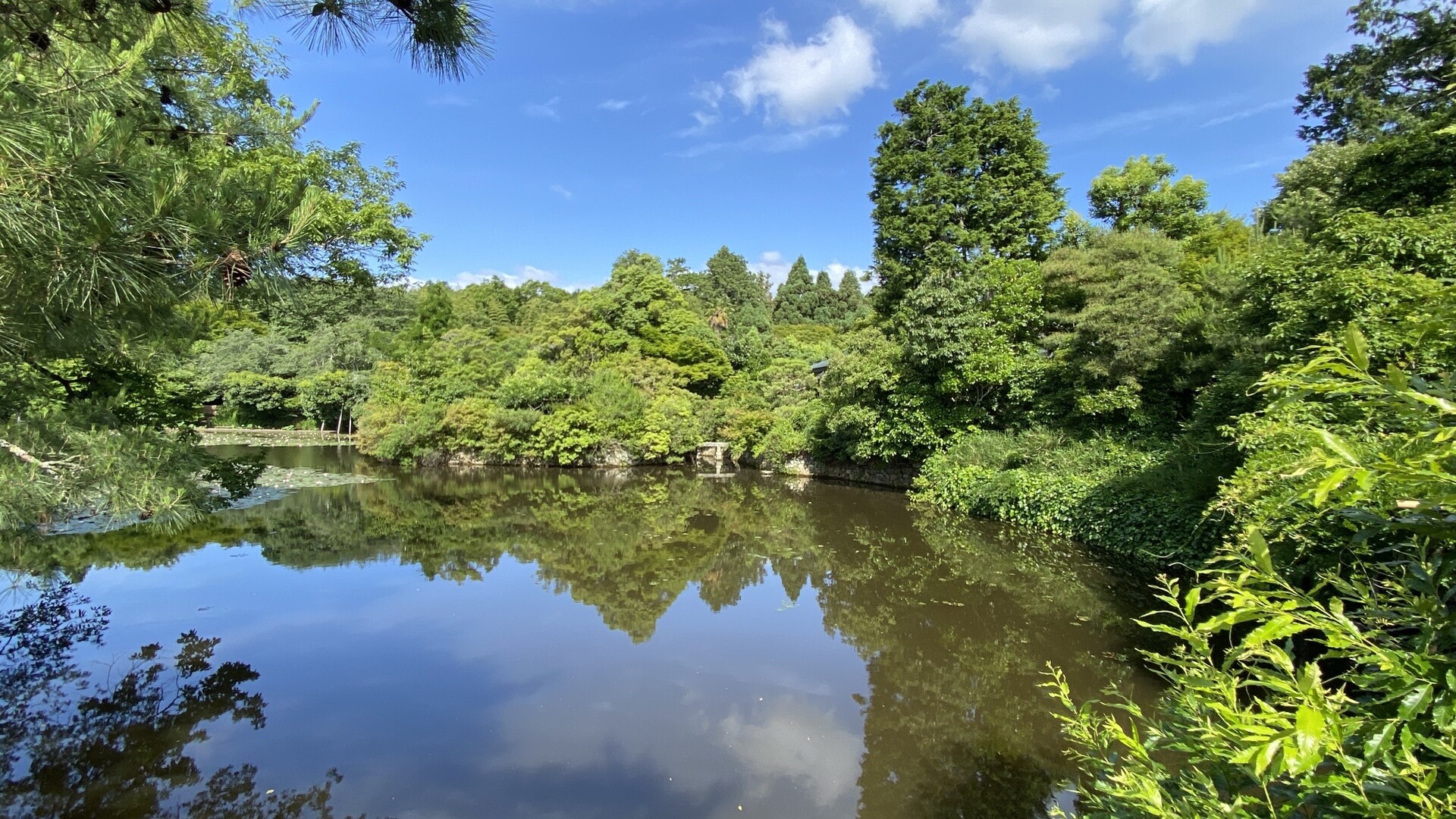 京都 龍安寺 金閣寺 今宮神社😊 / S.Uさんのモーメント | YAMAP / ヤマップ
