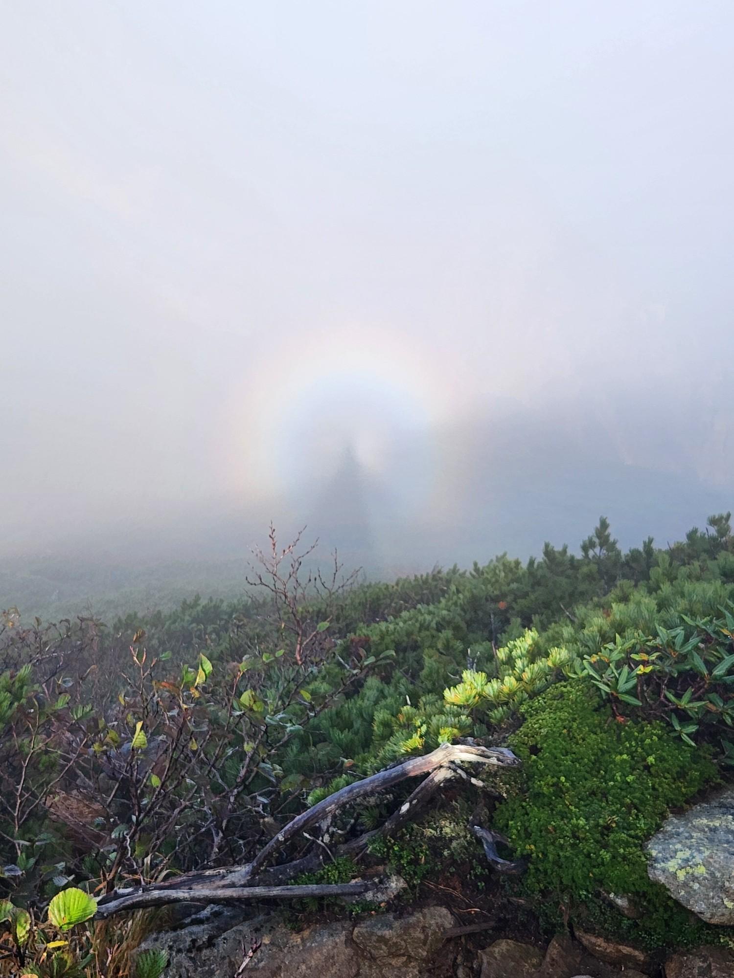 百名山33座目 俎嵓・燧ヶ岳（柴安嵓） / papiさんの尾瀬・燧ヶ岳の活動データ | YAMAP / ヤマップ