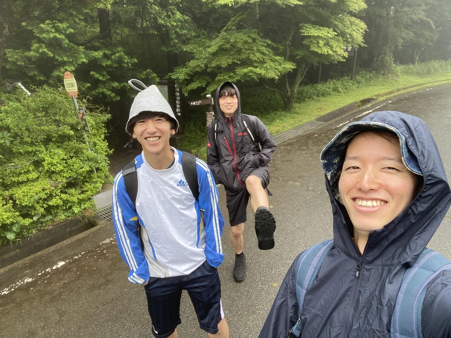 オススメの温泉は・・・万二郎岳（天城山）・万三郎岳（天城山） / アッキーヨさんの天城山・鉢ノ山・三筋山の活動データ | YAMAP / ヤマップ
