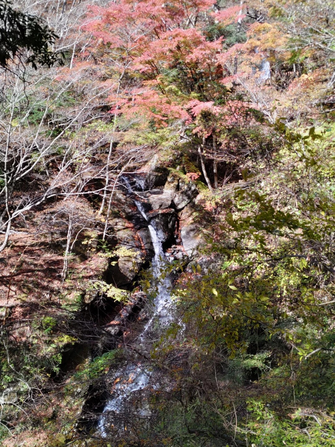 十枚山・篠井山 / Rioさんの十枚山の活動データ | YAMAP / ヤマップ