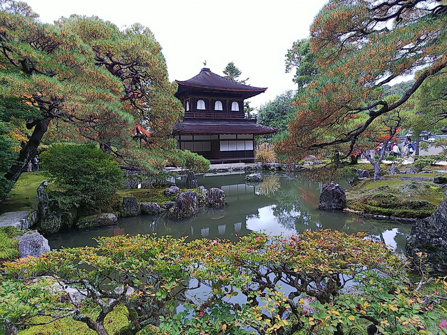 京都市-2022-11-14 / ロック ローさんの京都市の活動データ | YAMAP / ヤマップ