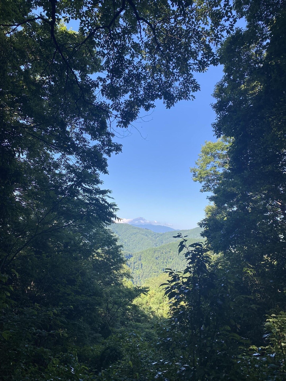 ロングコースはキツかった…！高尾山周遊 / yuma.aさんの高尾山・陣馬山・景信山の活動データ | YAMAP / ヤマップ