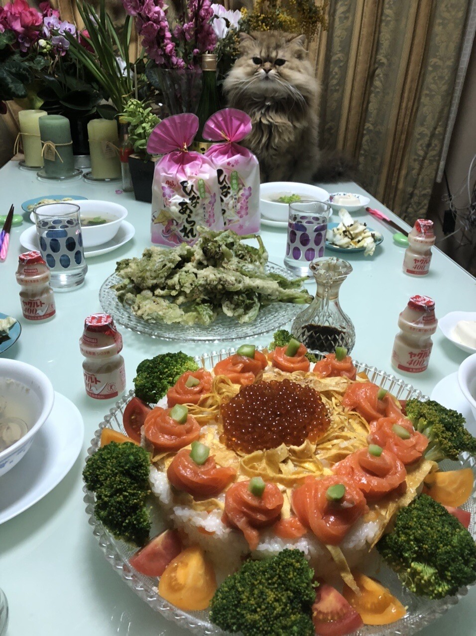 雛祭り、おめでとうございます 🎎 Ha... / かいさんのモーメント | YAMAP / ヤマップ