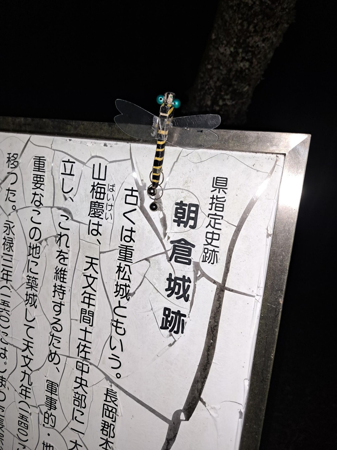 四国遠征暴走モード③ 城山(朝倉城跡) / DSHさんの鴻ノ森・椎野峠・西ノ峰山の活動データ | YAMAP / ヤマップ