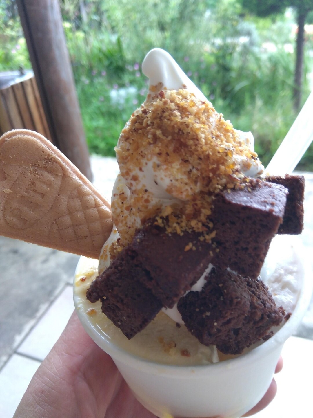 弥彦にGOGO！ / shino-puさんの弥彦山・多宝山・雨乞山の活動日記 | YAMAP / ヤマップ