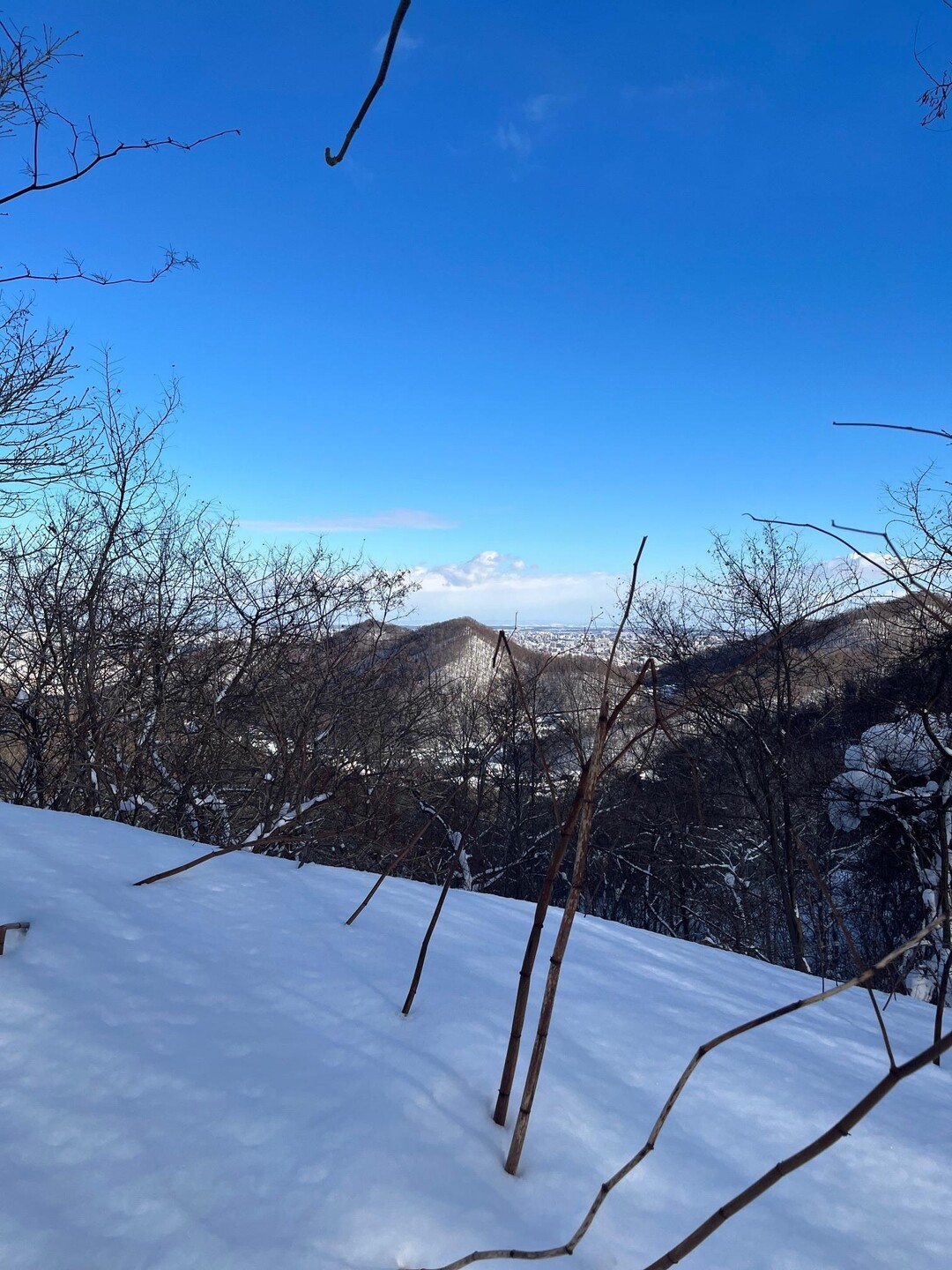 大倉山 / muraさんの三角山・大倉山・円山の活動データ | YAMAP / ヤマップ