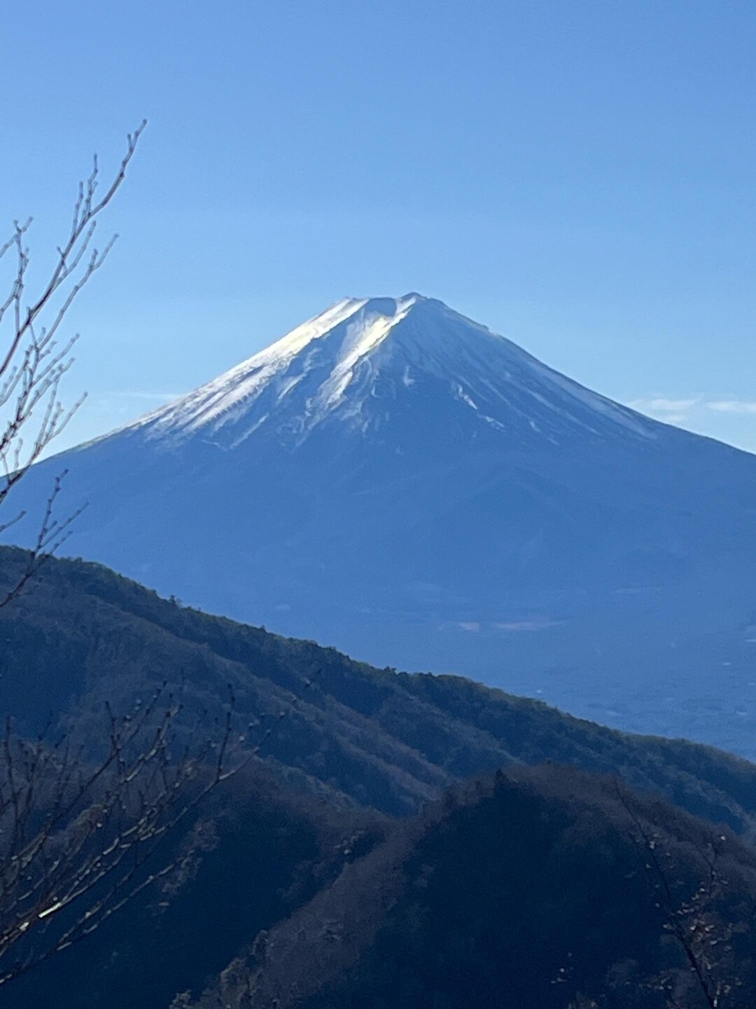 清八山・本社ヶ丸 / konyan さんの三ッ峠山・本社ヶ丸・鶴ヶ鳥屋山の活動データ | YAMAP / ヤマップ