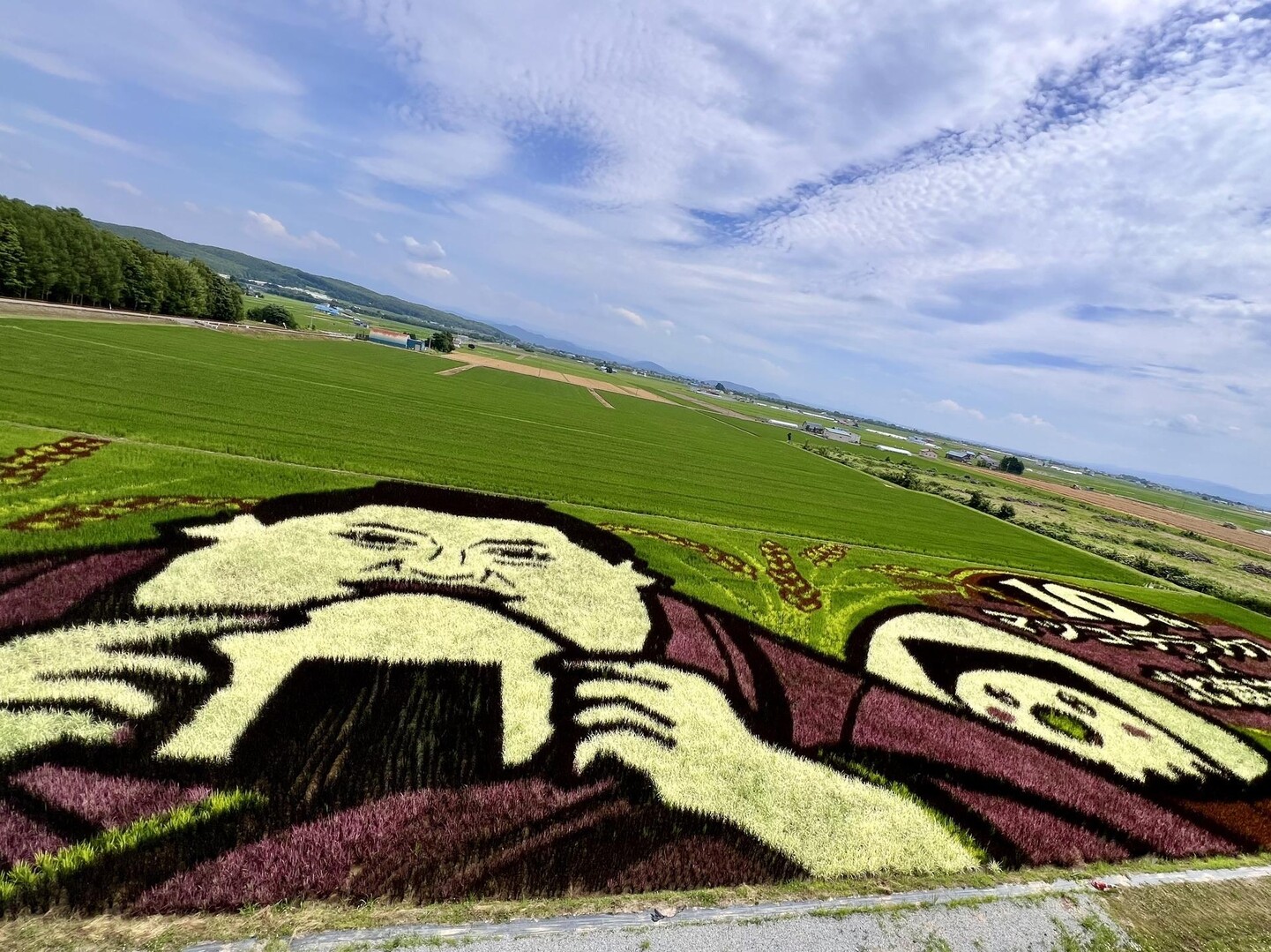 「岐登牛山」と田んぼアート / FUM!さんの岐登牛山の活動データ | YAMAP / ヤマップ