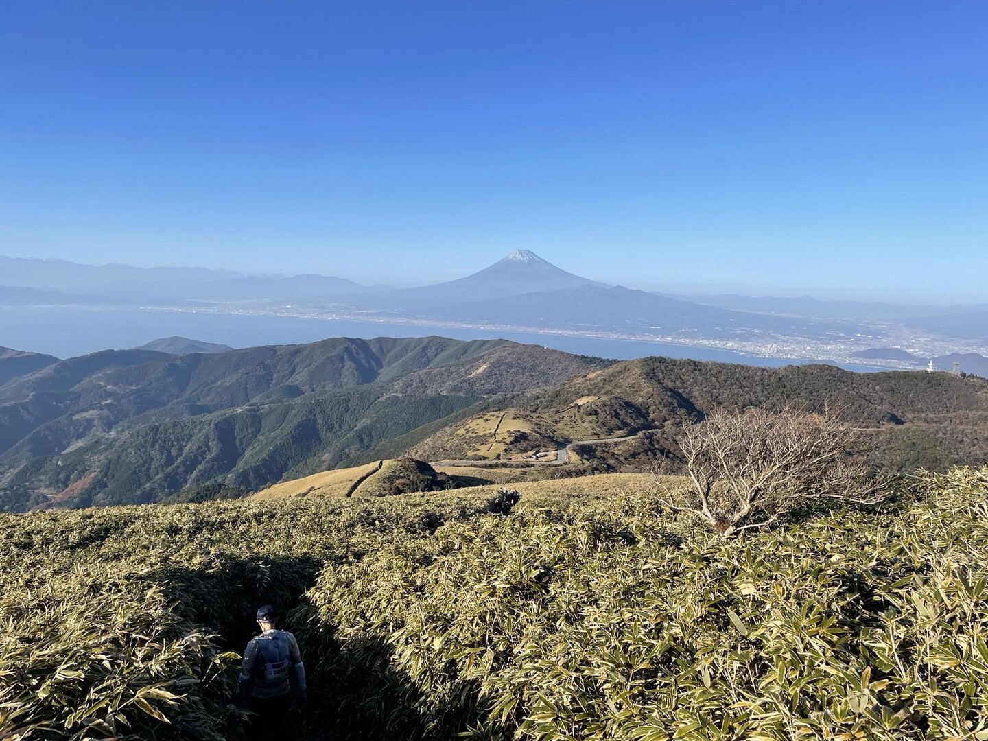 IZU TRAIL Journey 70K 2023 / ひですけさんのトレイルランニングの活動データ | YAMAP / ヤマップ