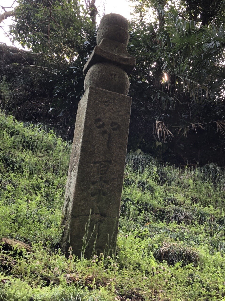 初『ヤマップ』試したくて 行き慣れた ... / にゃんきちさんのモーメント | YAMAP / ヤマップ