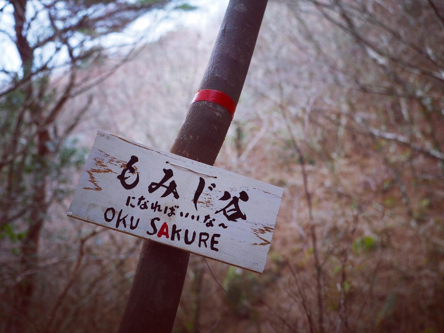 看板がいい味出してるよね / ksn さんのモーメント | YAMAP / ヤマップ