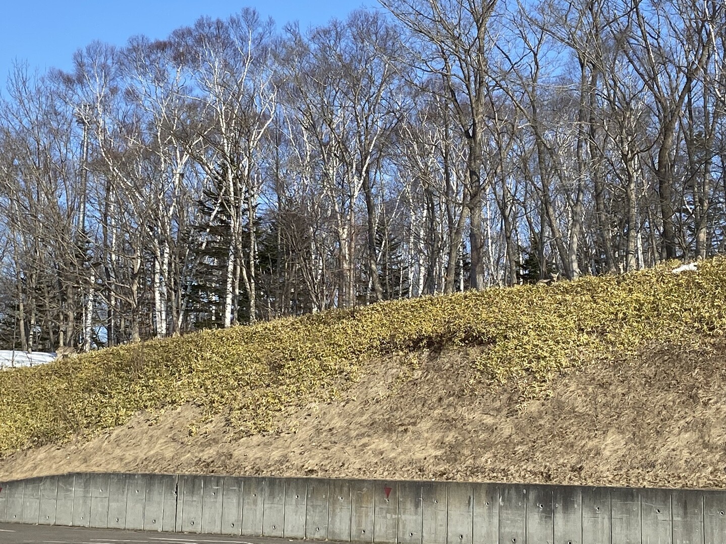 いやいやいや、貴方も好きねこの場所🦌 ... / モーリスさんのモーメント | YAMAP / ヤマップ