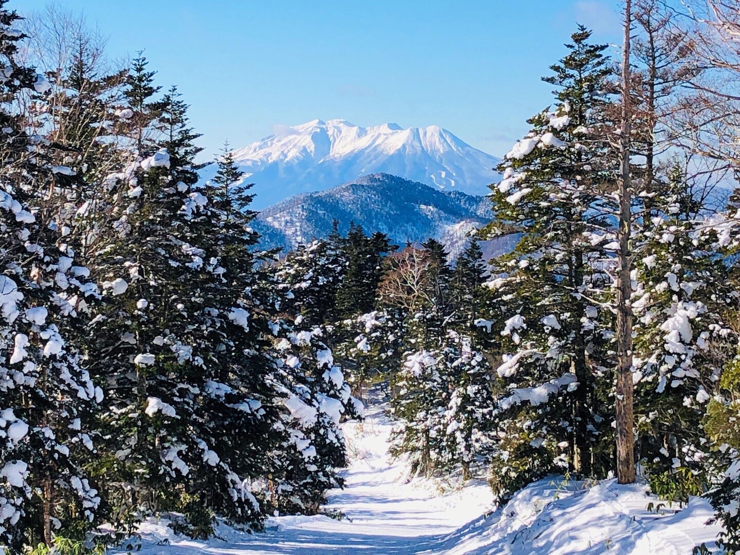 野麦峠スキー場 ～おんたけView！～ / BMさんの鉢盛山の活動データ | YAMAP / ヤマップ