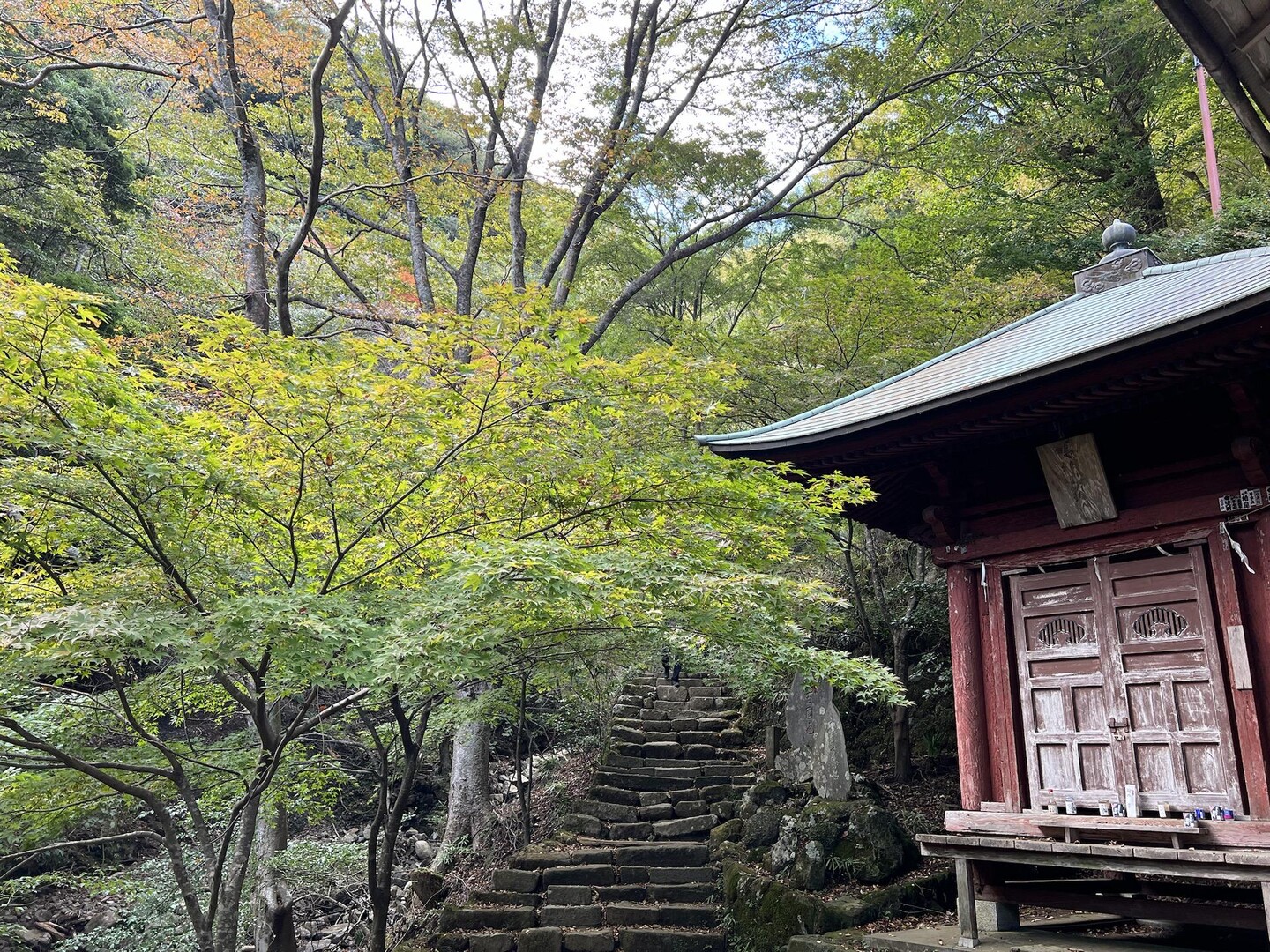 大山寺 / Amyさんの塔ノ岳・丹沢山・蛭ヶ岳の活動データ | YAMAP / ヤマップ