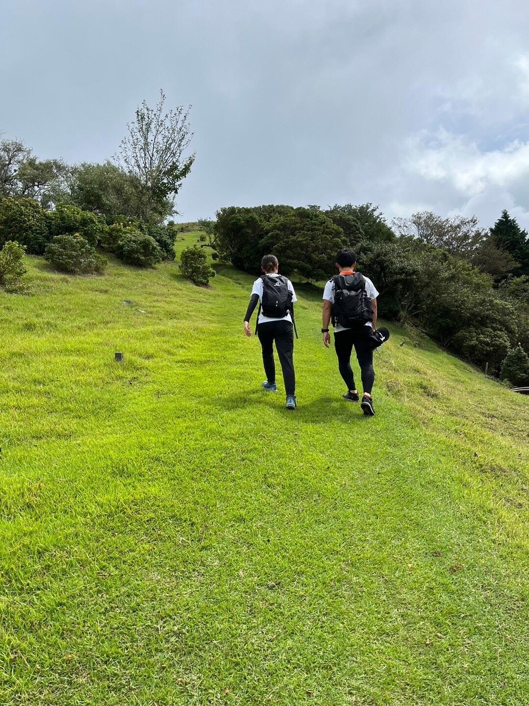 経ヶ峰 / akaneさんの経ヶ峰の活動データ | YAMAP / ヤマップ