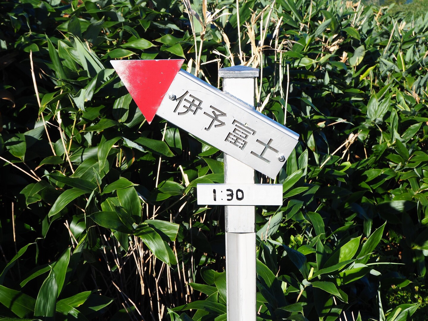 伊予富士（瓶ヶ森の夜明けPartⅣ） / kanさんの瓶ヶ森・伊予富士の活動データ | YAMAP / ヤマップ