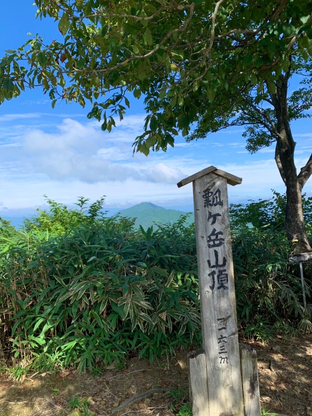 瓢ヶ岳・奥瓢ヶ岳 / KANAPさんの高賀山・瓢ヶ岳・片知山の活動データ | YAMAP / ヤマップ