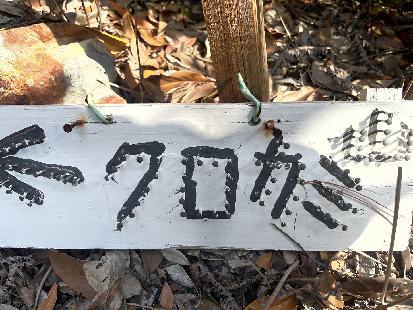 英山 / totoさんの黒髪山・青螺山の活動日記 | YAMAP / ヤマップ