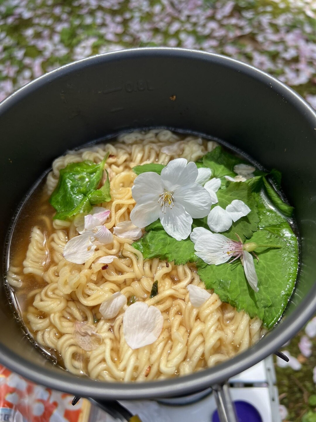 桜🌸ラーメン ミツバゼリ入り / Rinさんのモーメント | YAMAP / ヤマップ