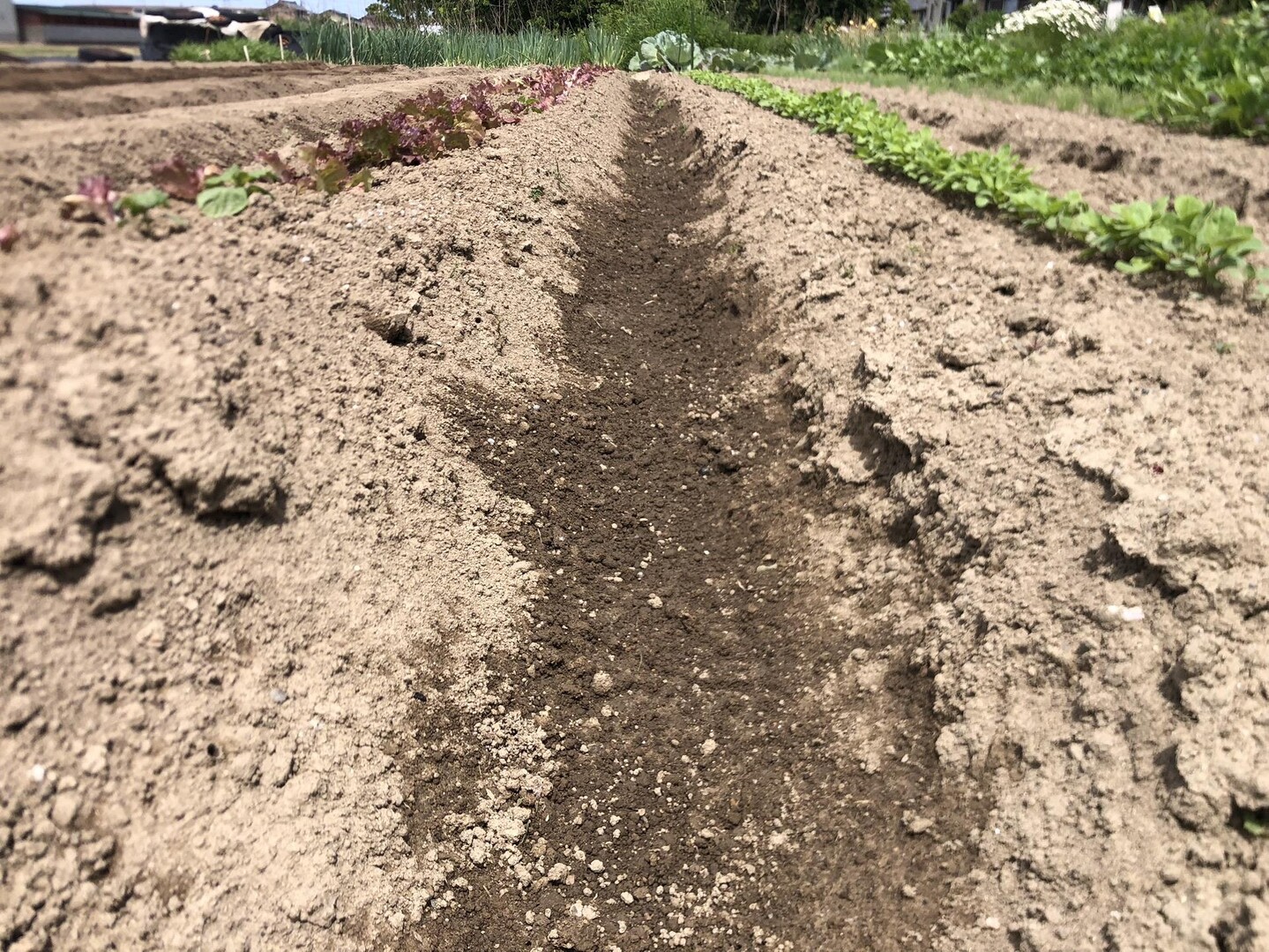 今年から微妙に広大な畑の管理等を1人でや... / Naluさんのモーメント | YAMAP / ヤマップ