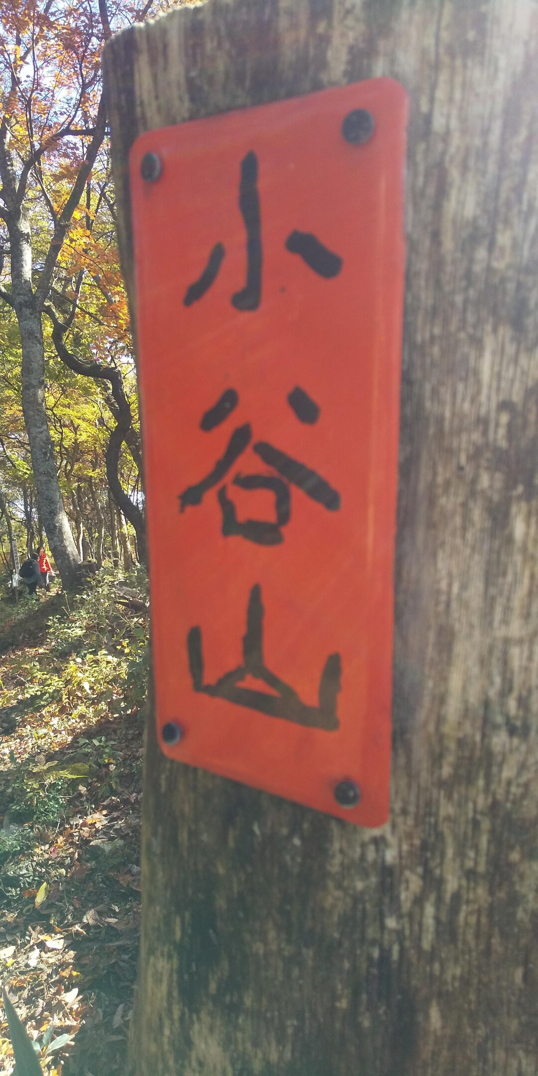 小谷山 / mokoさんの小谷山・虎御前山の活動データ | YAMAP / ヤマップ