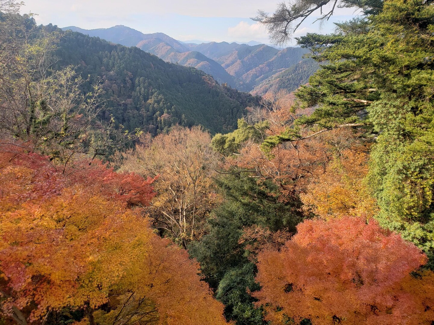登山部・忘年高尾山 / ricoさんの高尾山・陣馬山・景信山の活動データ | YAMAP / ヤマップ