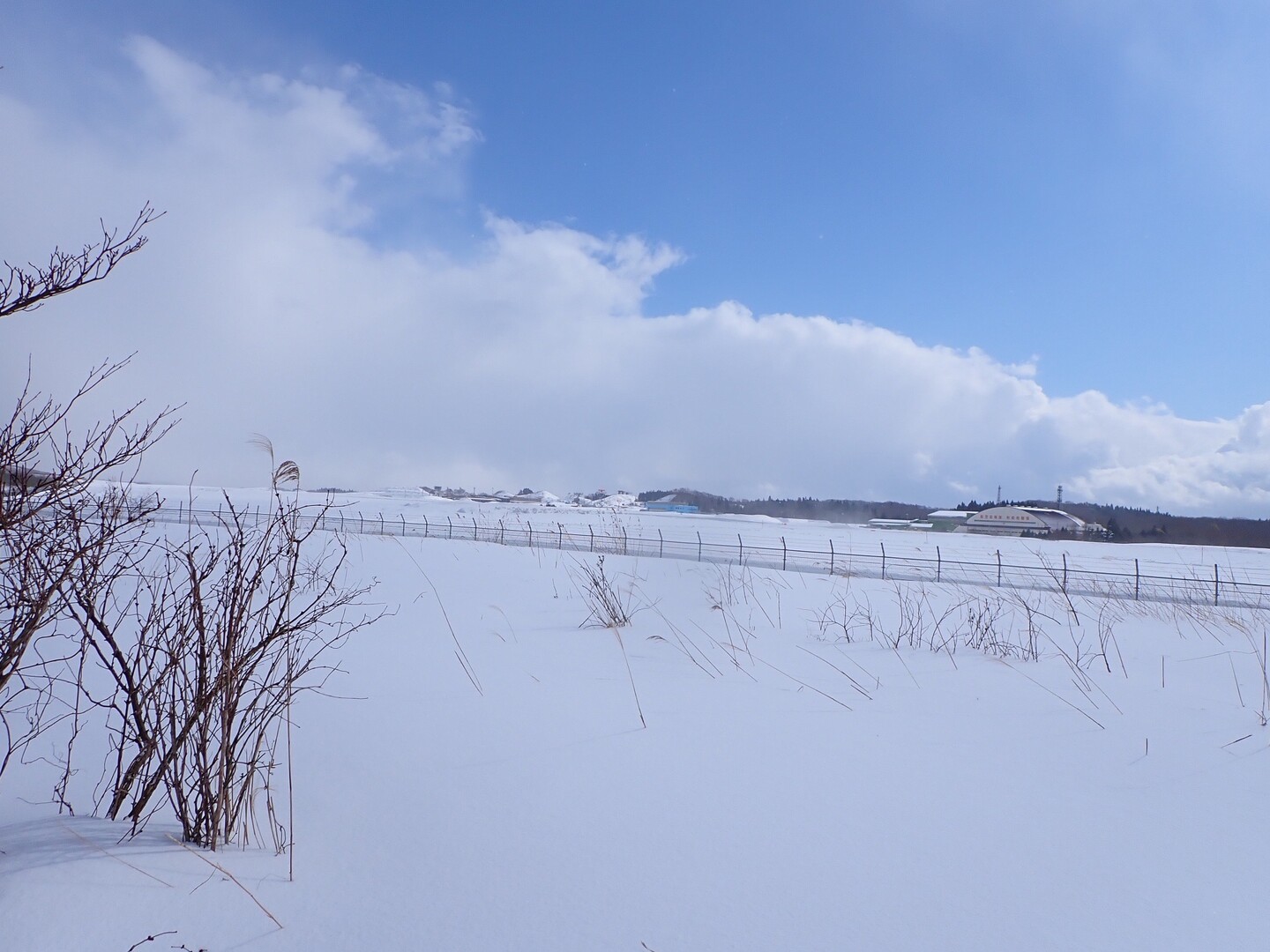 糠塚山~Hedge maze~ / shunさんの秋田市の活動データ | YAMAP / ヤマップ