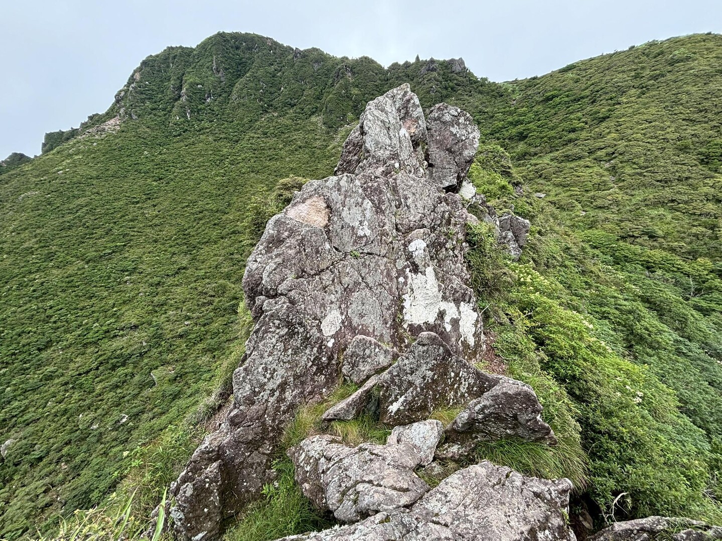 飯盛ヶ城経由由布岳〜鶴見岳縦走 / ninoさんの由布岳・鶴見岳の活動データ | YAMAP / ヤマップ