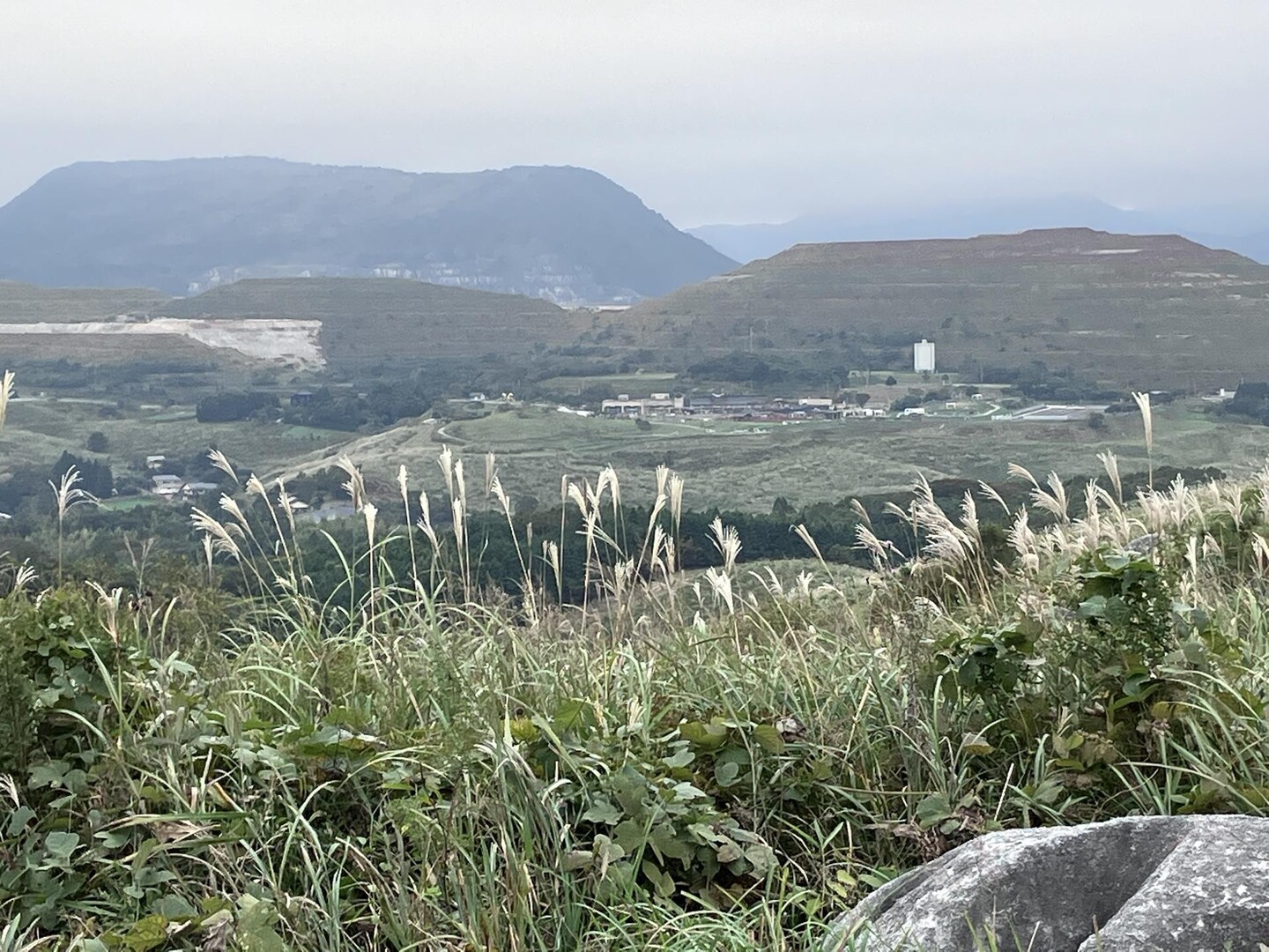 降りそうで、降りたそうで 少しだけパラついた花山歩 / Hanamamさんの平尾台・貫山・水晶山の活動データ | YAMAP / ヤマップ