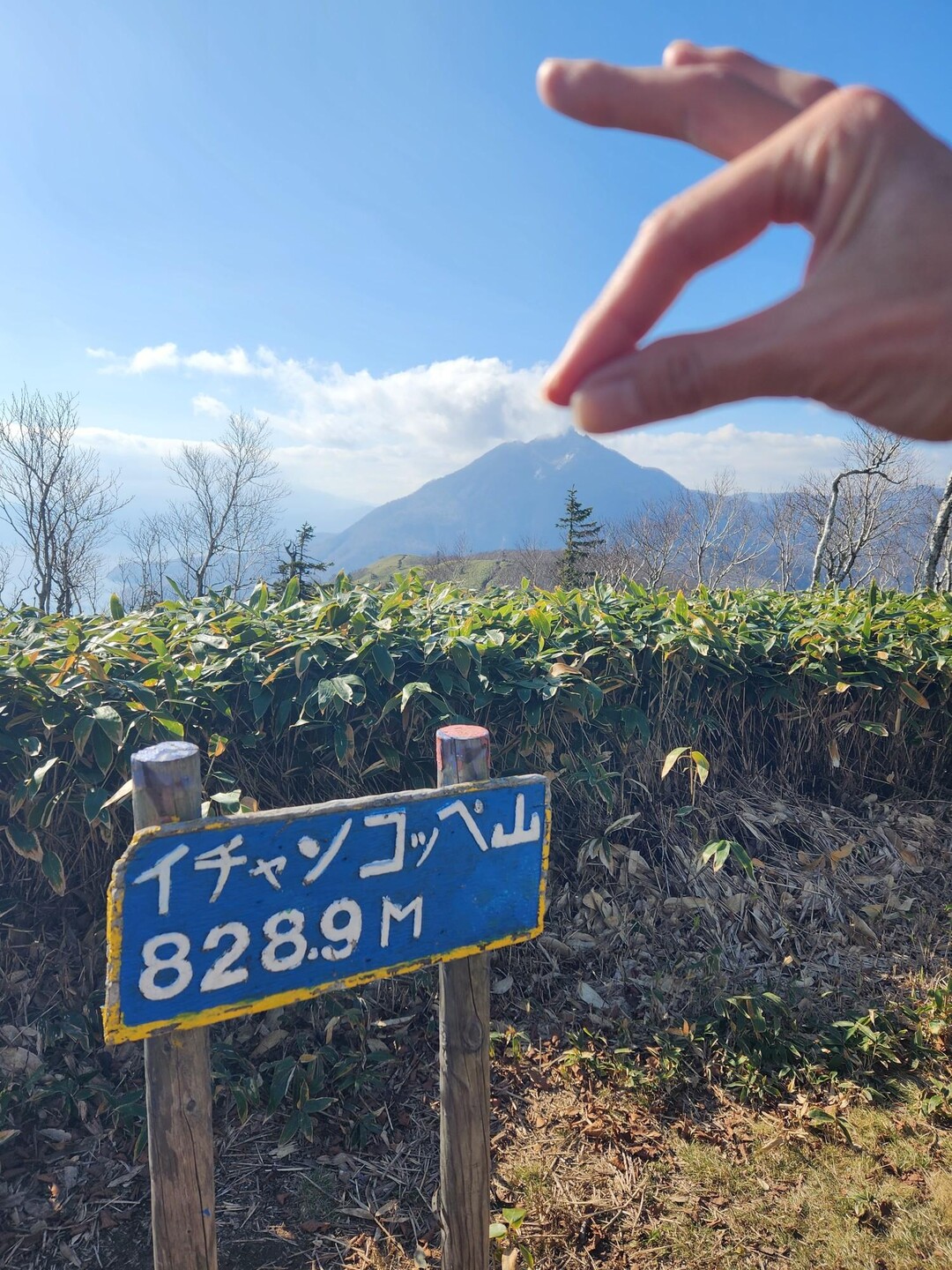 🍁を愛でにイチャン⛰️へLet's Go🎵 / まぁさんのイチャンコッペ山の活動データ | YAMAP / ヤマップ