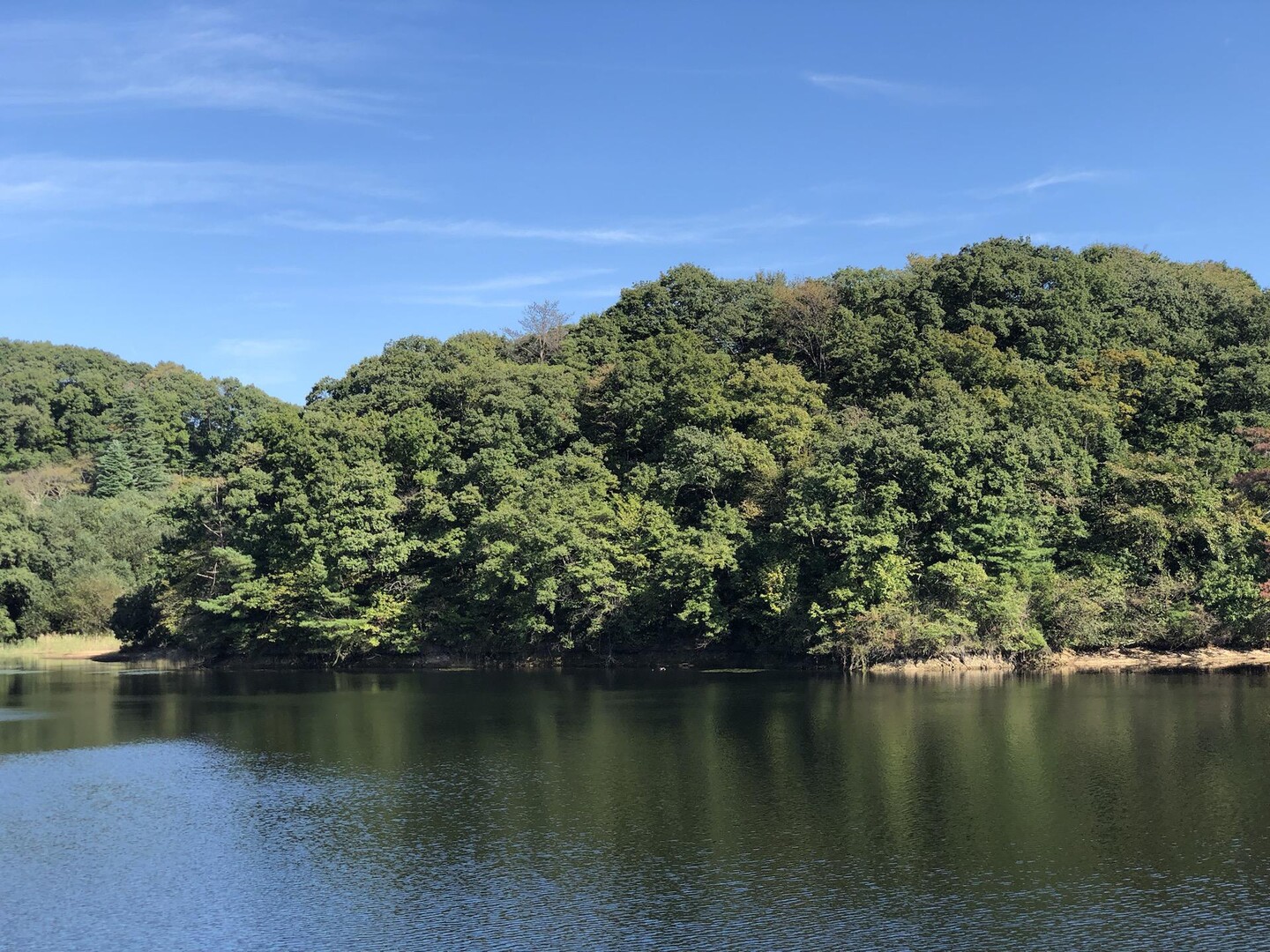 国見山・交野山 / Montana⭐️さんの交野山・国見山の活動データ | YAMAP / ヤマップ