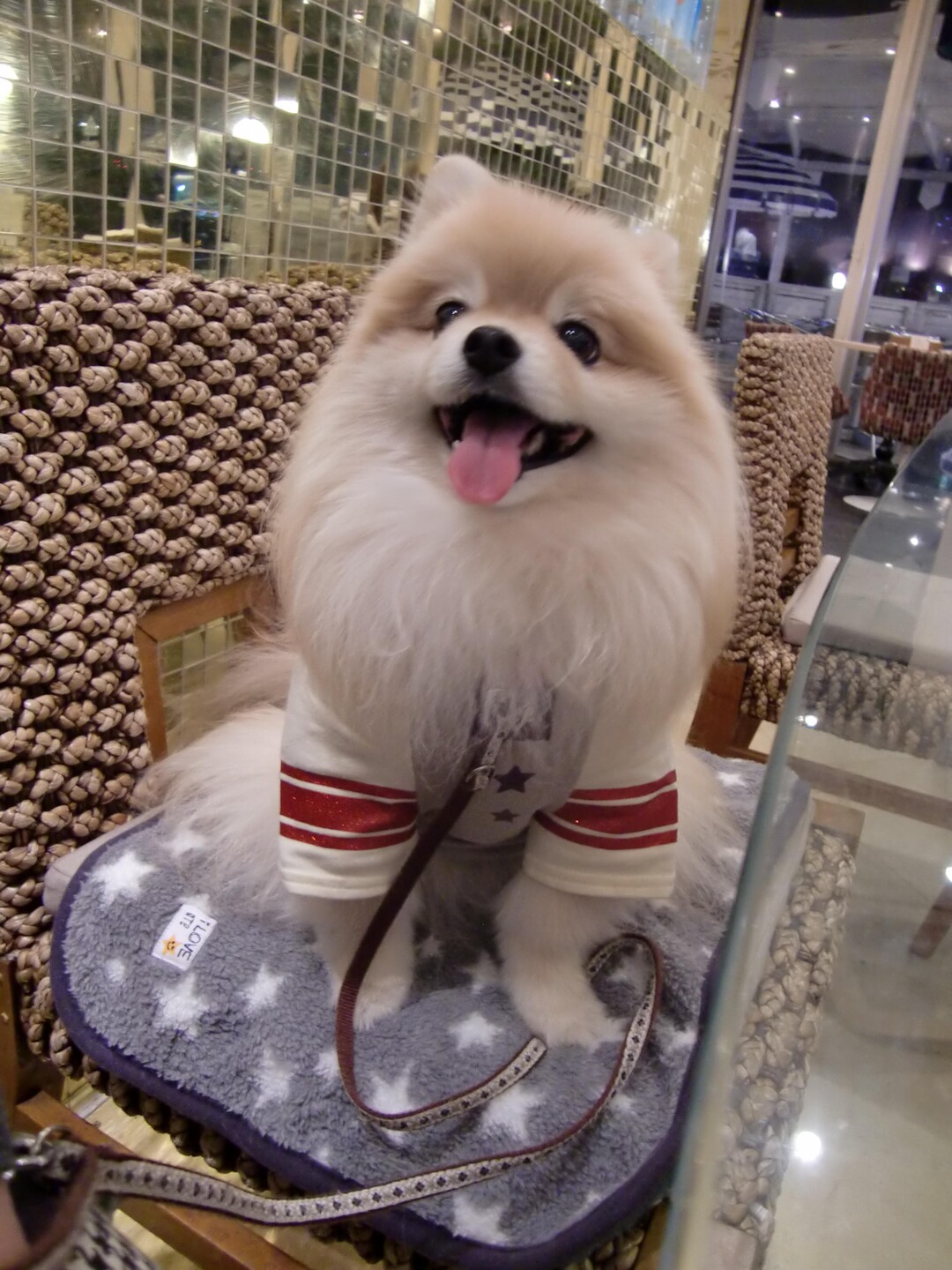 noriのページ | YAMAP / ヤマップ