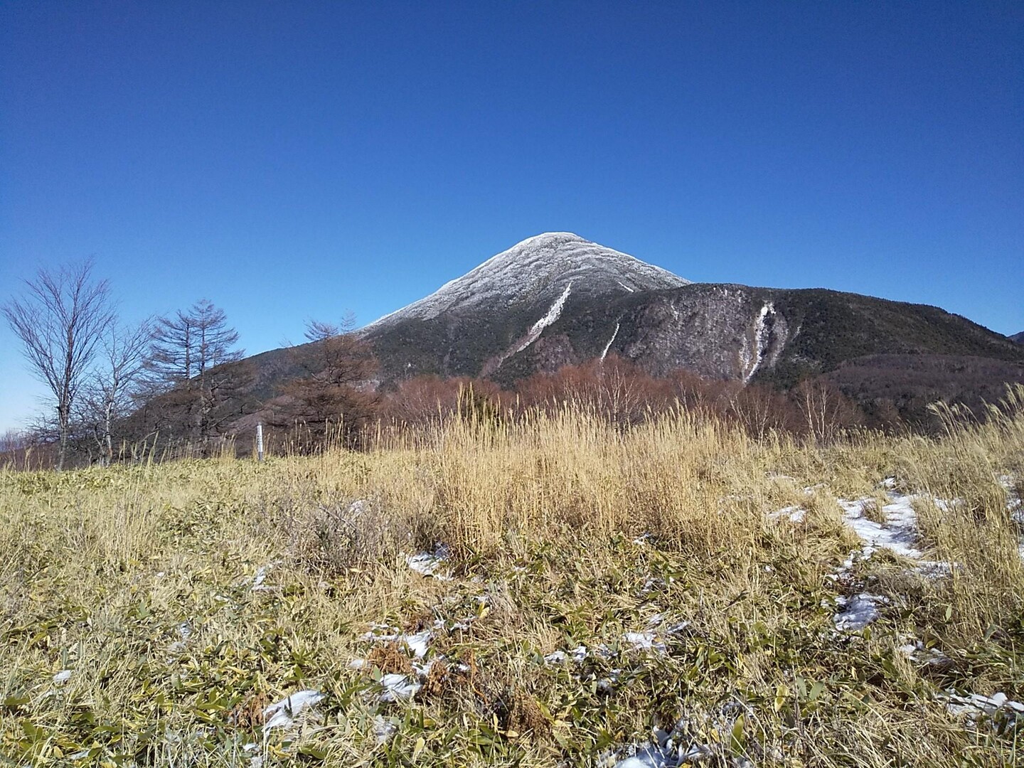 八子ヶ峰東峰 / moozさんの蓼科山・横岳・縞枯山の活動データ | YAMAP / ヤマップ