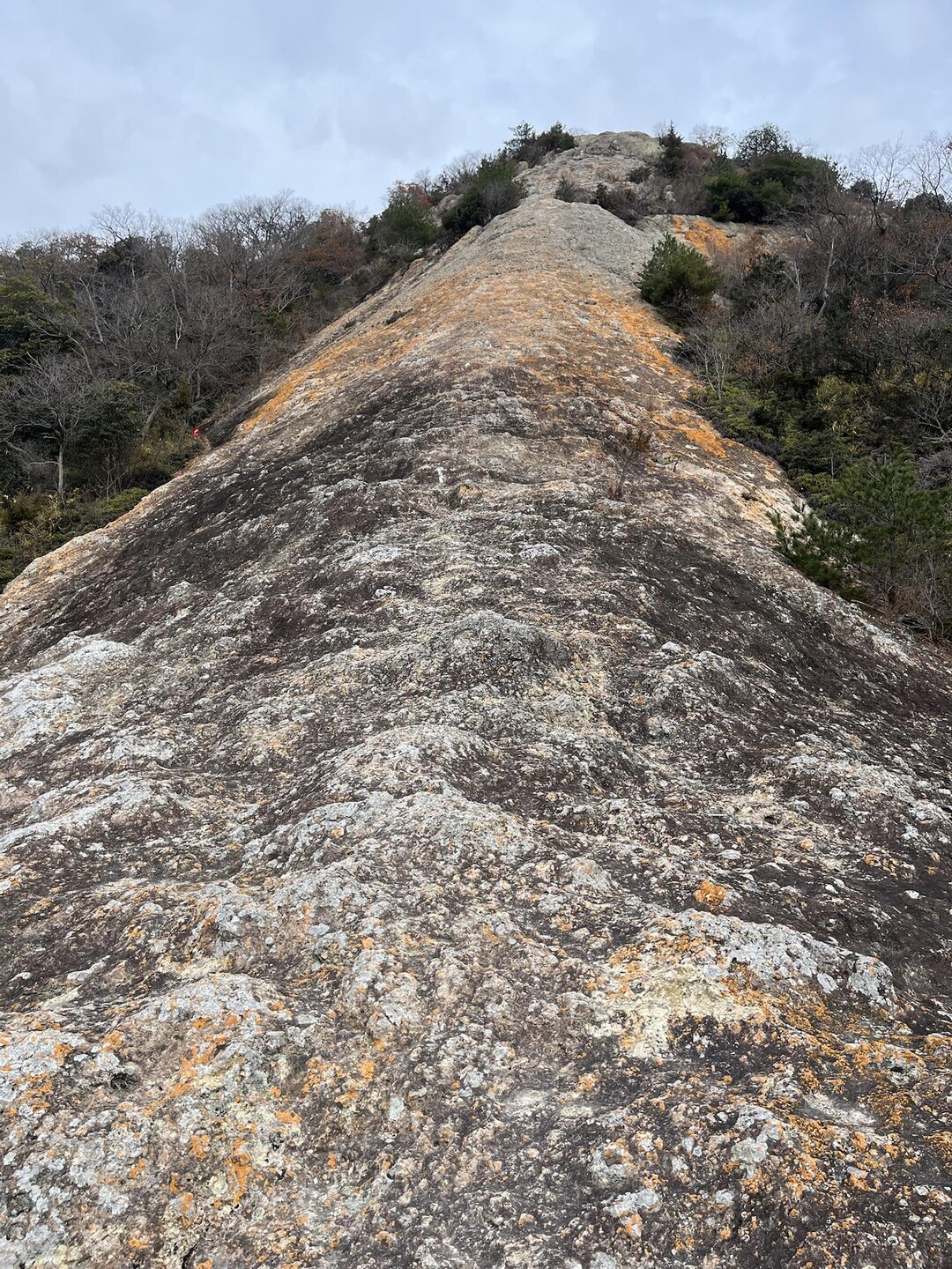 初冬ハイキング 小野アルプス / Sueさんさんの小野アルプス（紅山・惣山）の活動データ | YAMAP / ヤマップ